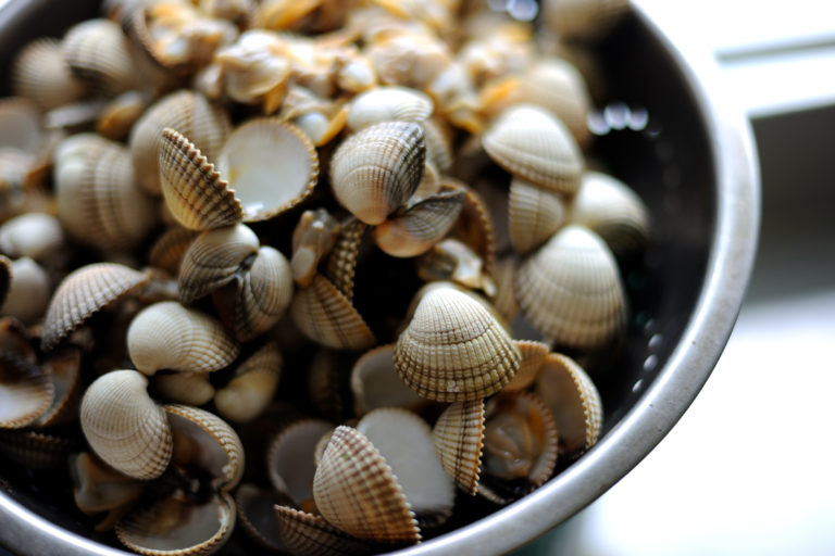 Black Hemlock Blood Cockles Recipe | Going With My Gut - Going With My Gut